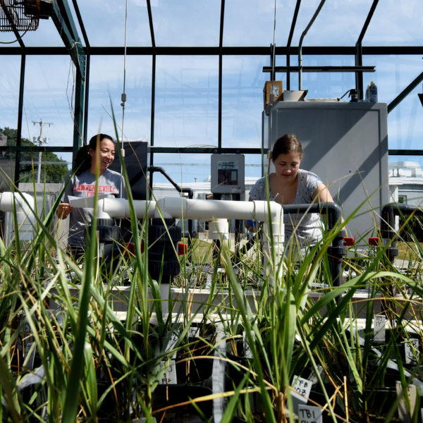 Jonathan Grabowski - Northeastern University College of Science