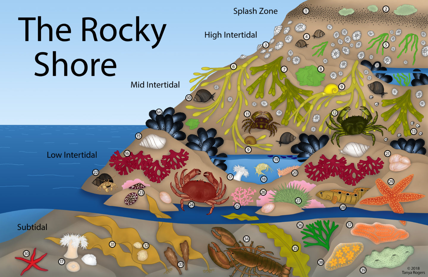 Educator Resource Portal - Northeastern University College of Science
