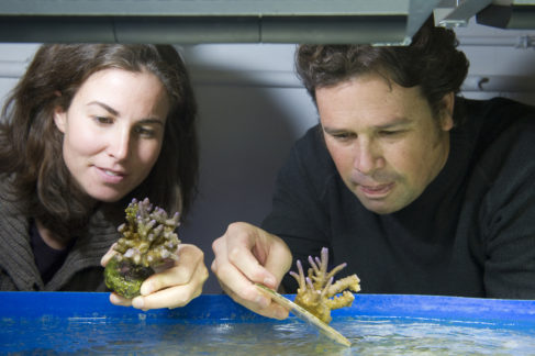 Marine Science Center – Northeastern University College of Science