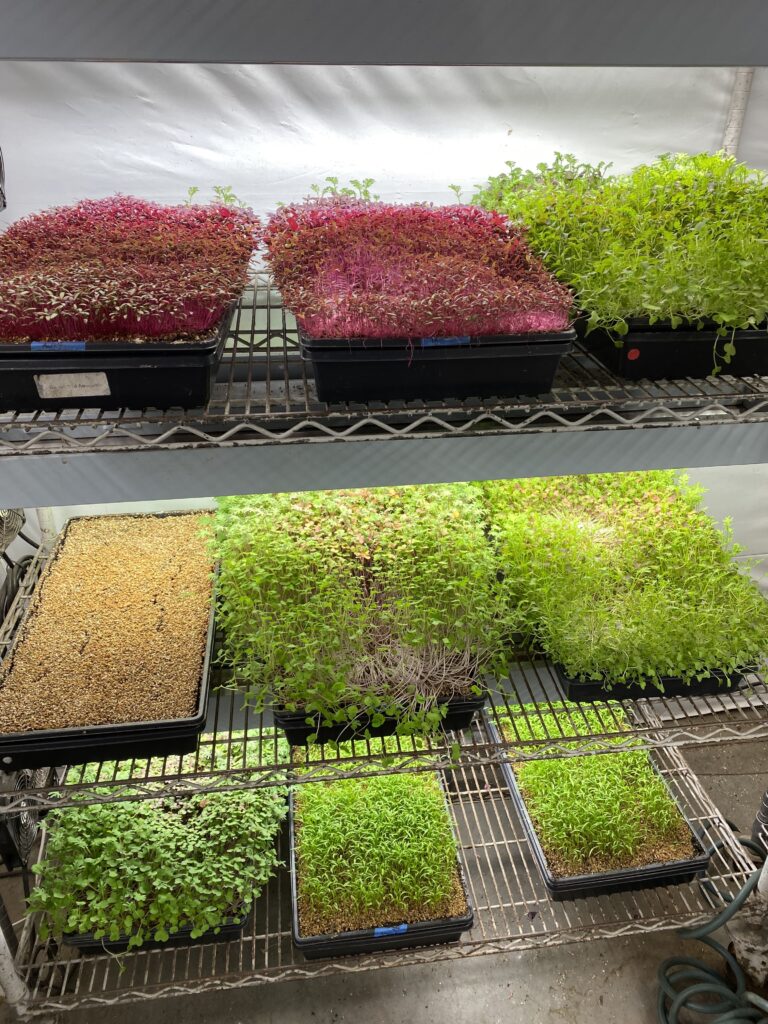 Instagram takeover: Katherine Antos - Northeastern University College ...