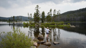Brian Helmuth - Northeastern University College of Science