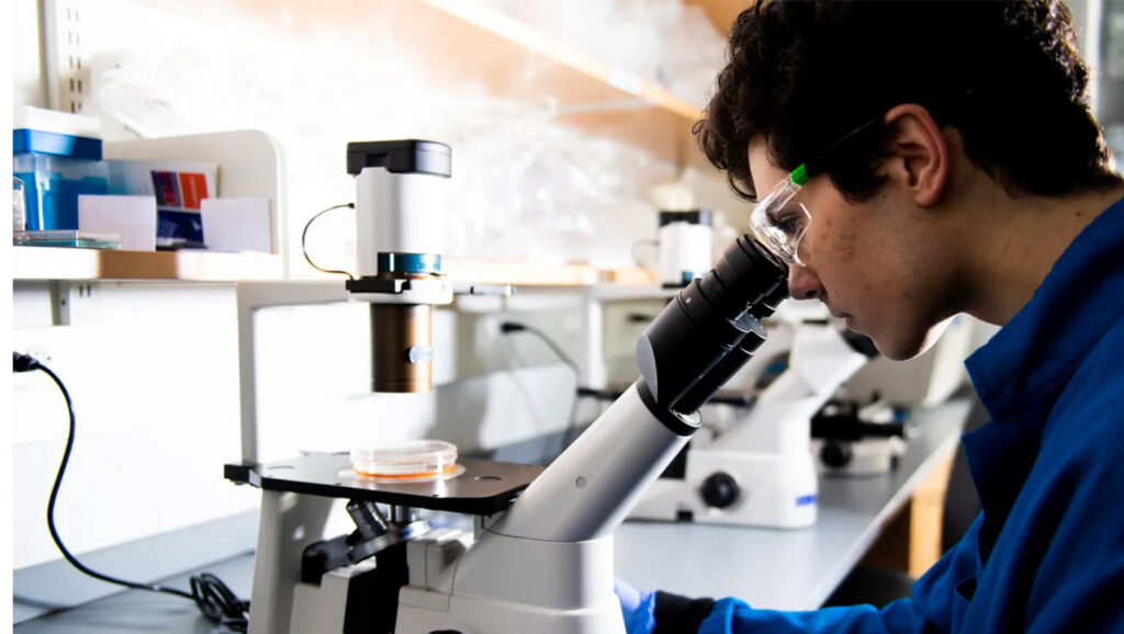 Home - Northeastern University College of Science