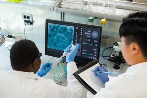 Master of Science in Biotechnology - Northeastern University College of ...