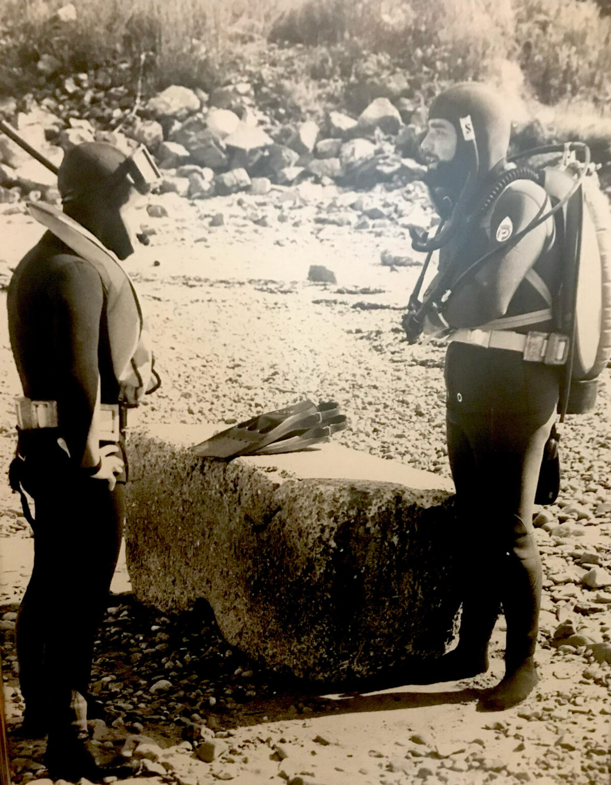 From Nahant to the Galápagos: Northeastern Alum Gregory Lewbart’s ...