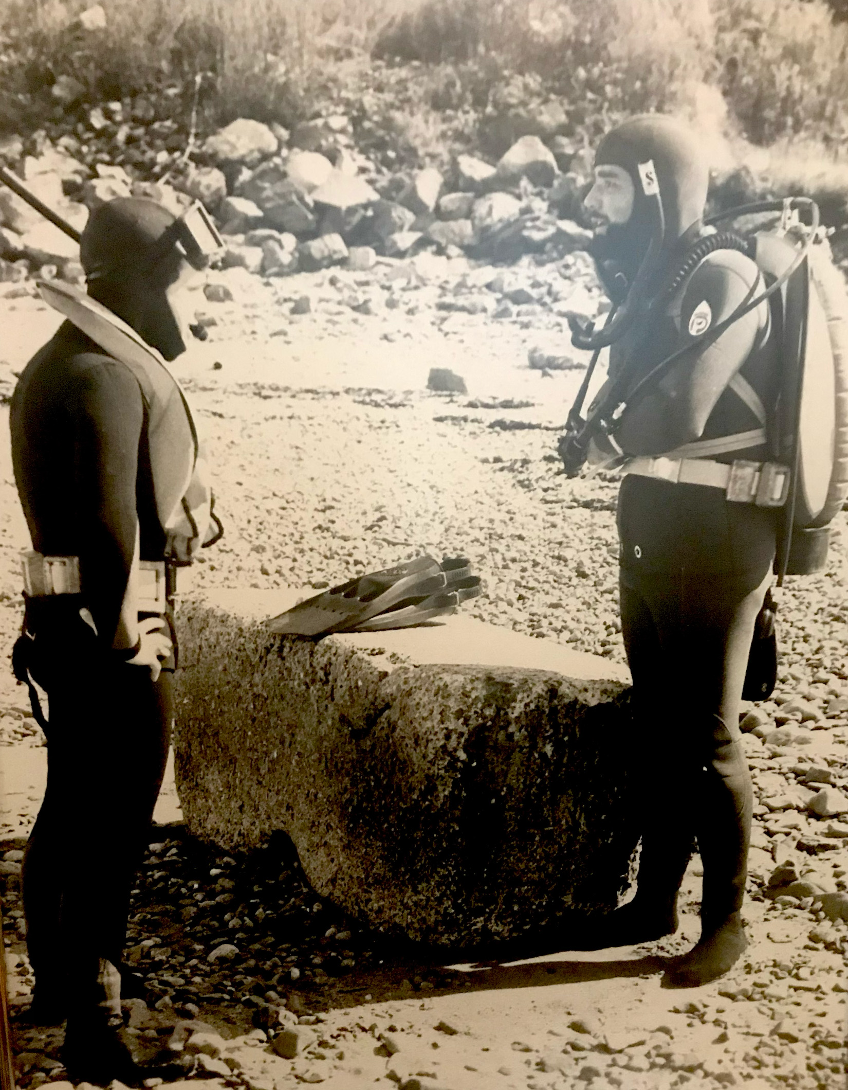 From Nahant to the Galápagos: Northeastern Alum Gregory Lewbart’s ...