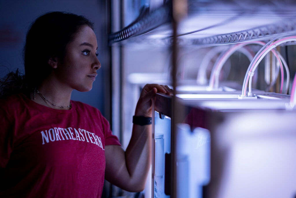 Undergraduate Programs - Northeastern University College of Science
