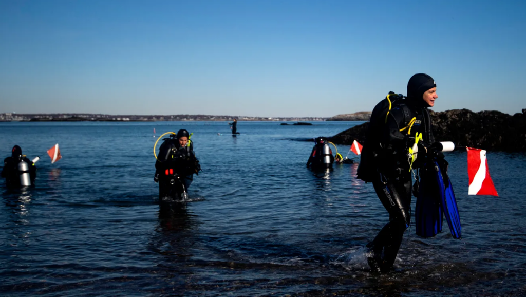 Three Seas at 40: How Northeastern’s immersive marine biology program ...