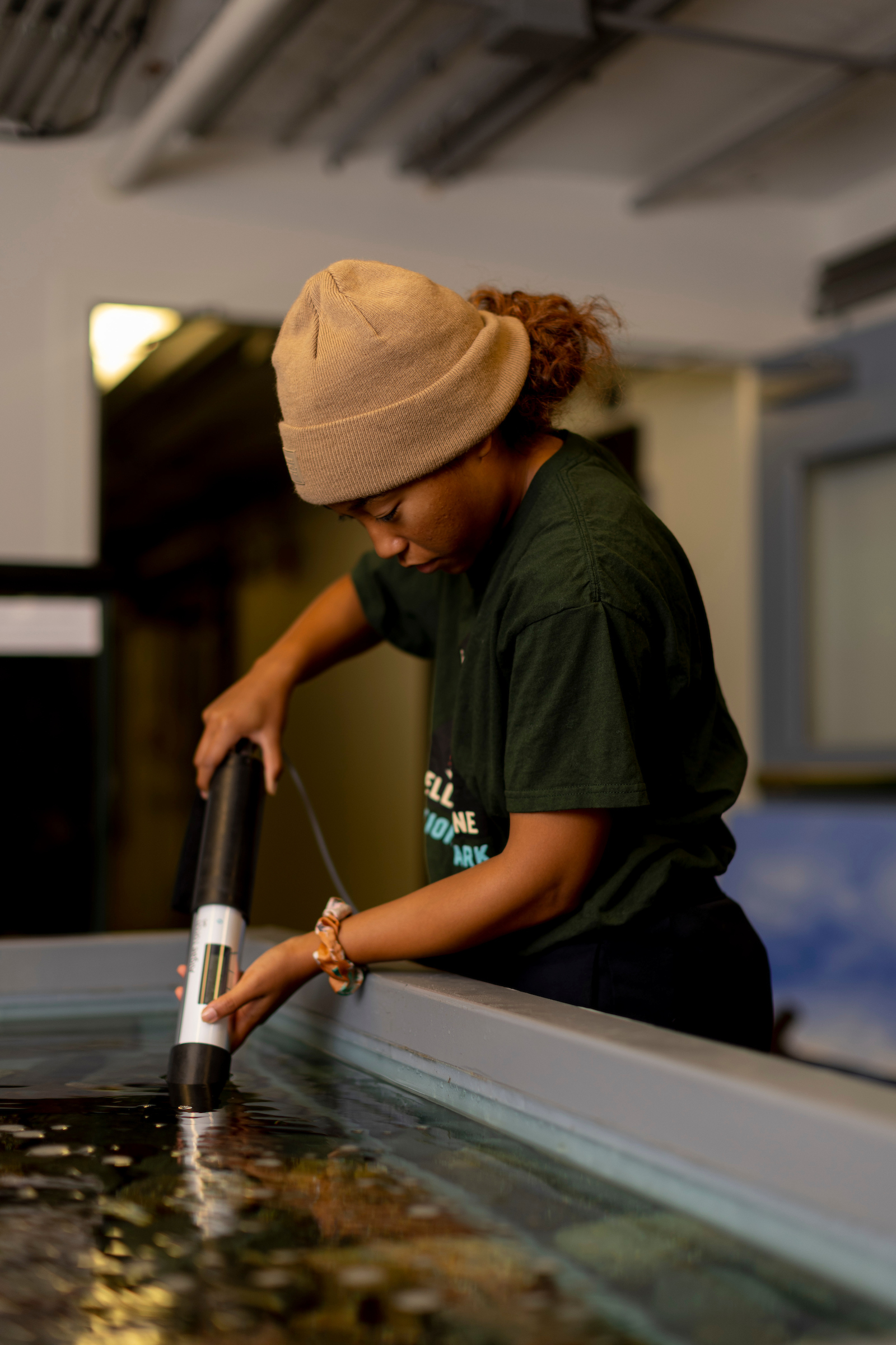 Undergraduate Research - Northeastern University College of Science