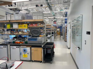 About Us - Northeastern University College of Science