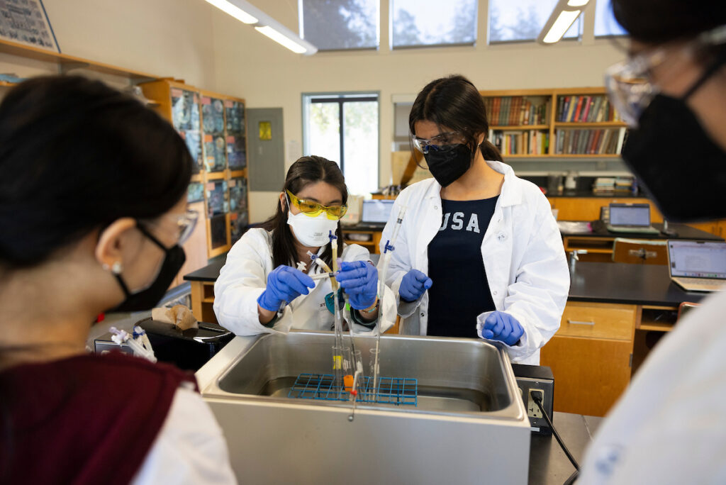 How do axolotls regenerate limbs and organs? This researcher has ...