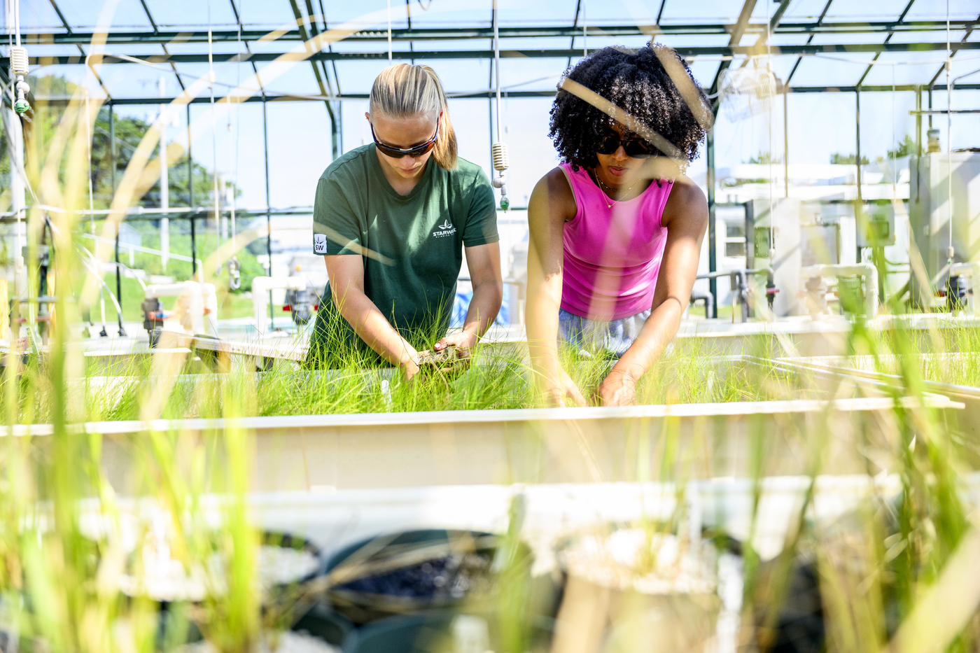 MSC Summer Internship - Northeastern University College of Science